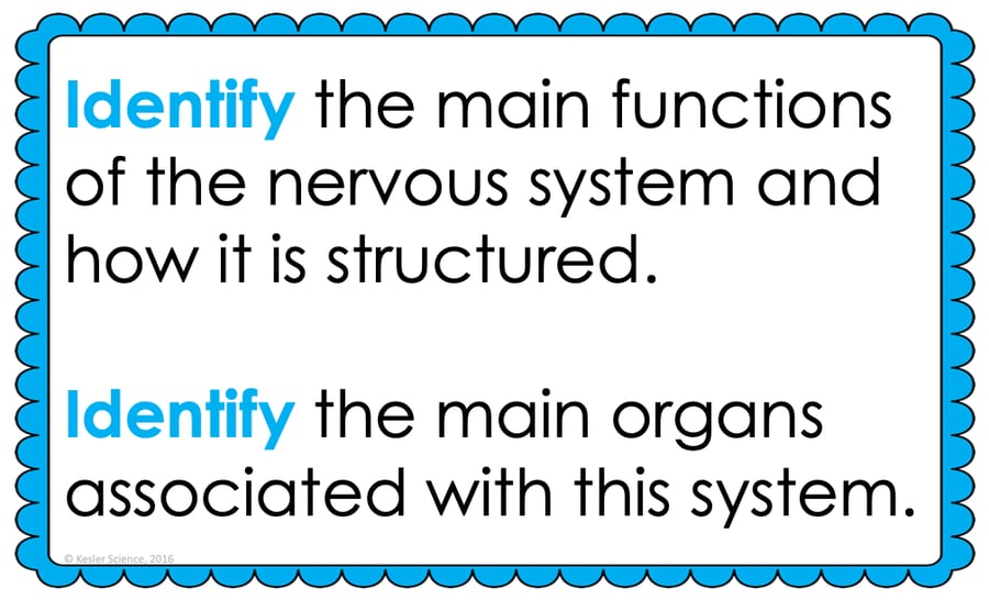 Nervous System Lesson Plan – A Complete 5E Method Science Unit